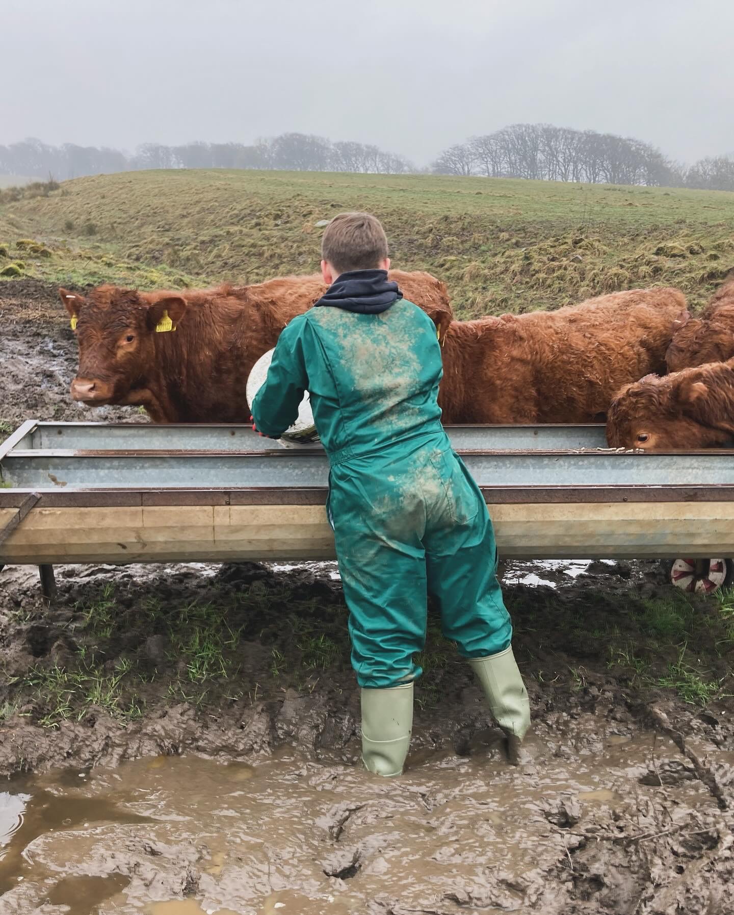 How our farm activities link to character-building outcomes ...